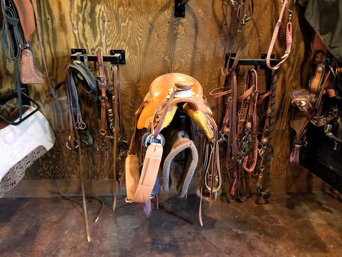 Gem State Mule Company - Contact Us